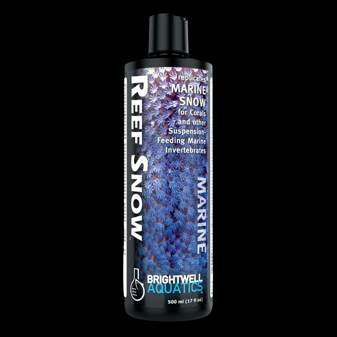 Brightwell Reef Snow – ShopHAW